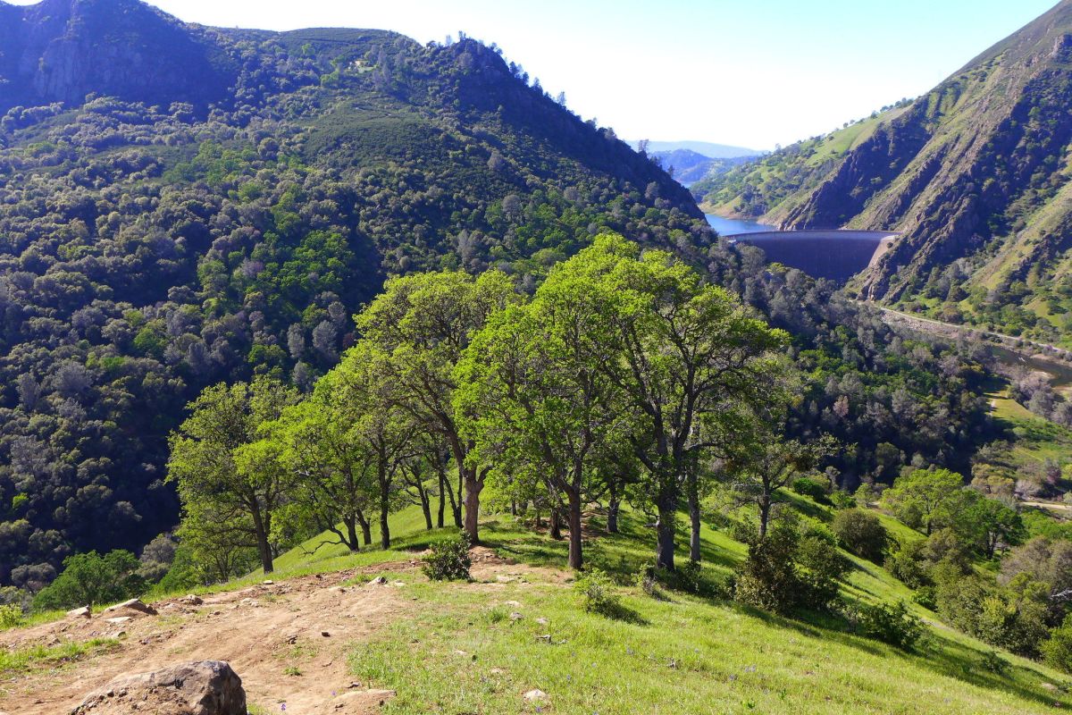 7 Of The Best Hikes In Northern California Under One Mile