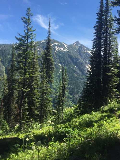 This Lovely Trail Leads To A Hidden Turquoise Lake In Montana