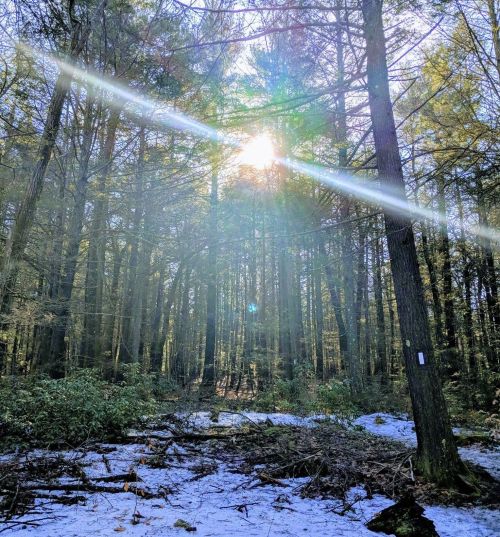 Hiking Trails: Hermit Cave In Massachusetts