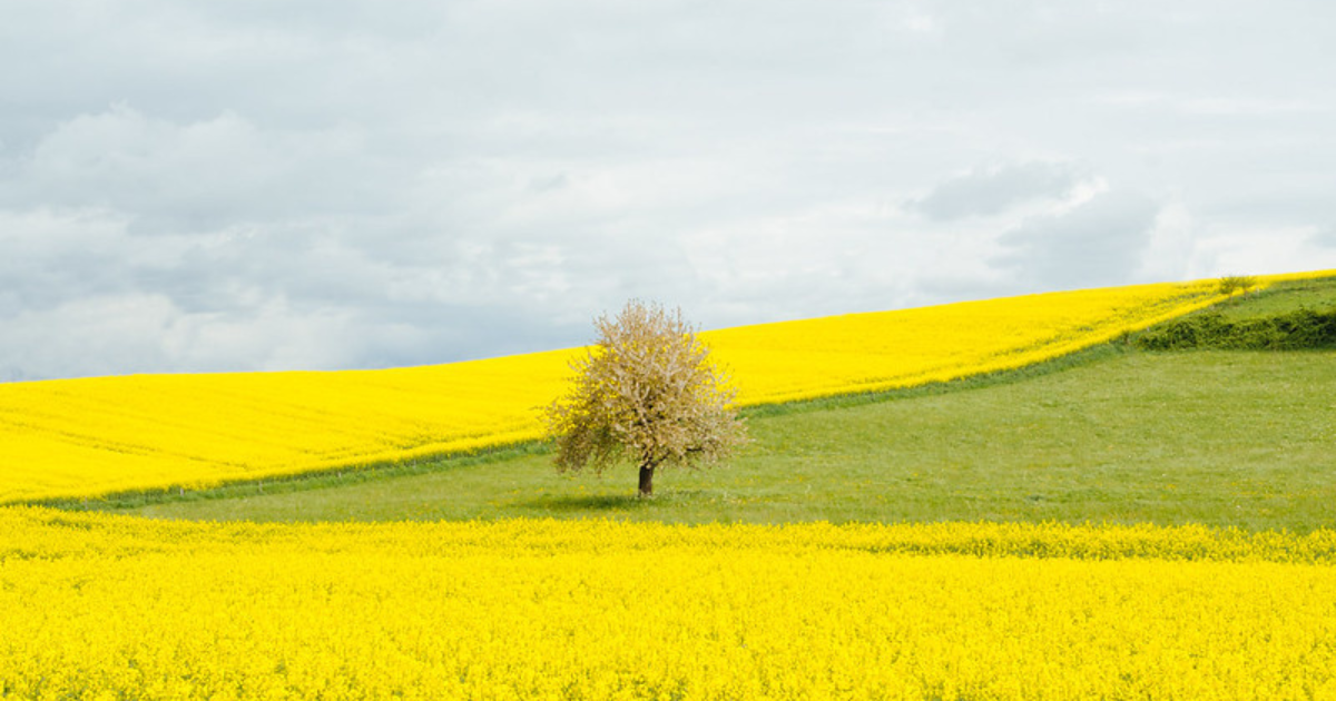 Beautiful Spring Photos: Springtime In The U.S.