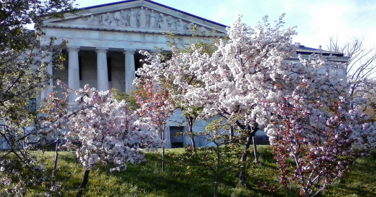 Spring Event: Cherry Blossom Festival In Buffalo