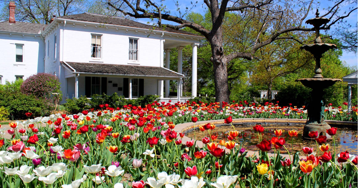 This Tulip Farm In Kansas Will Make Your Spring Complete