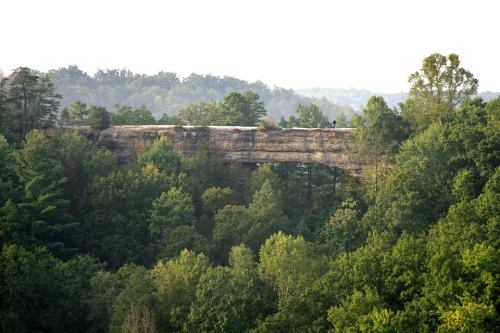 Route 77 In Kentucky Is A Mysterious Road You Must Drive At Least Once