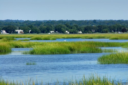 Unique Hikes In Connecticut: The Coastal Center At Milford Point