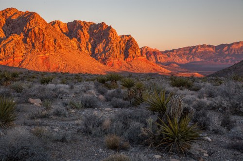 Things To Do In Blue Diamond Nevada That You May Have Missed