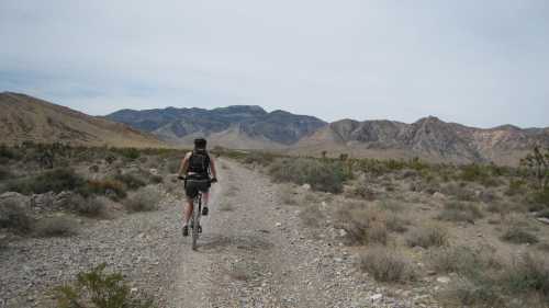 Things To Do In Blue Diamond Nevada That You May Have Missed