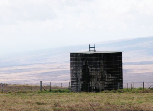 Parker Ranch In Hawaii: One Of The Largest Ranches In The U.S.