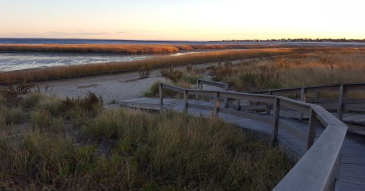 This Beautiful Boardwalk Trail In Connecticut Is The Most Unique Hike ...