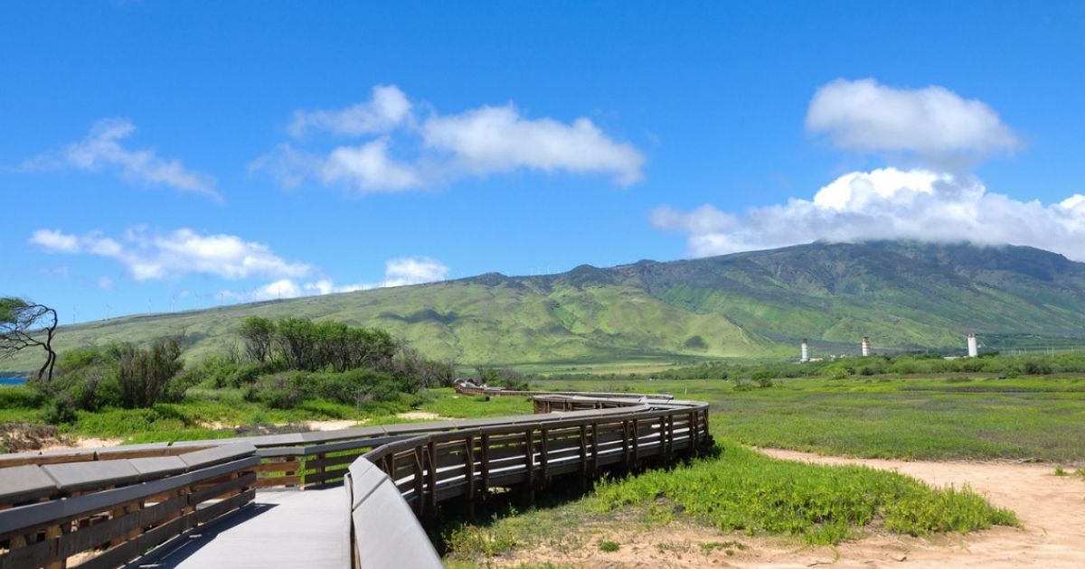 This Beautiful Boardwalk Trail In Hawaii Is The Most Unique Hike Around