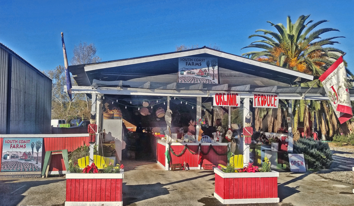7 Farms Perfect For Fruit Picking In Southern California