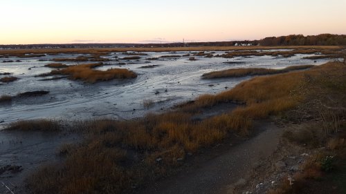 Unique Hikes In Connecticut: The Coastal Center At Milford Point