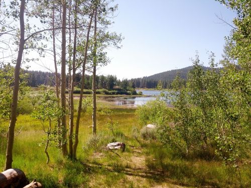 You'll Love These 7 Best Springtime Hikes in Nevada