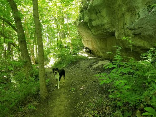 12 Beautiful Spring Hikes In Missouri That Everyone Will Love