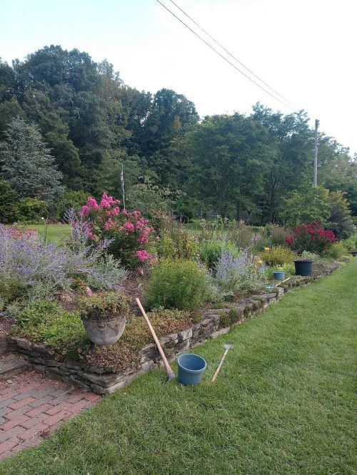 Rose Gardens In Pittsburgh: Renziehausen Park Is Worth A Visit