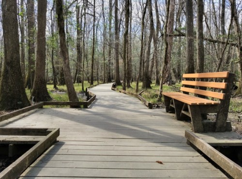 This Boardwalk Loop Is One Of The Best Hikes In South Carolina