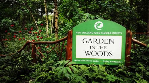 Stunning Garden In The Woods Framingham Images