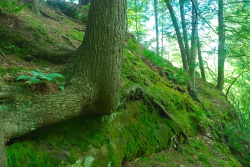 Spring Adventures: 13 of the Best Hikes in Wisconsin