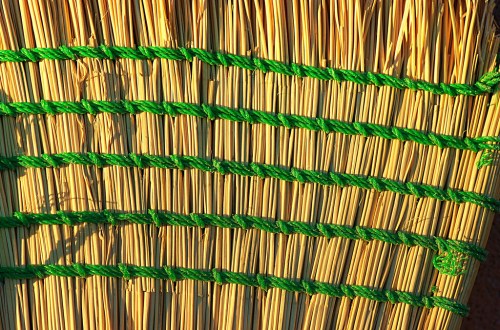 Boo Hag in South Carolina: Creatures That Take The Air Out of You