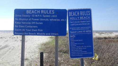 Things To Do In Holly Beach, Louisiana