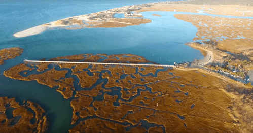 Bass Hole Boardwalk: Boardwalk Hike In Massachusetts