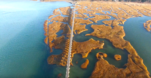 Bass Hole Boardwalk: Boardwalk Hike In Massachusetts