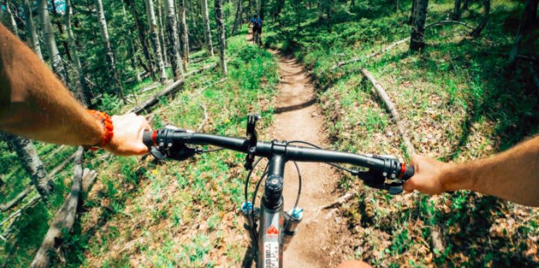 The Best National Parks To Visit In The United States For Cyclists