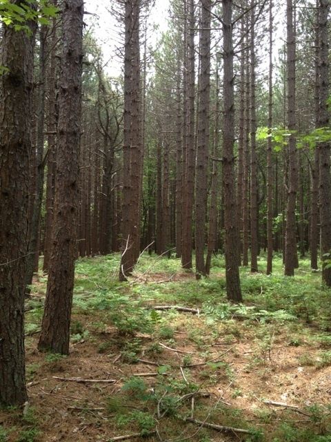 10 Best Hikes In Maine To Take During Springtime