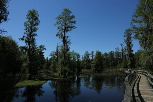 Phinizy Swamp Nature Park: Beautiful Trails In Georgia