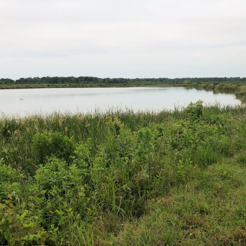 Phinizy Swamp Nature Park: Beautiful Trails In Georgia