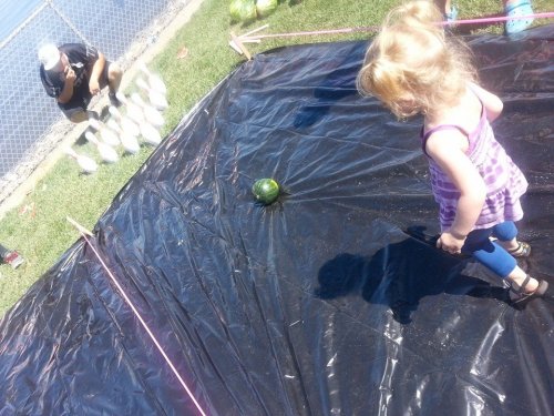 Hermiston Offers The Best Watermelon Festival In Oregon