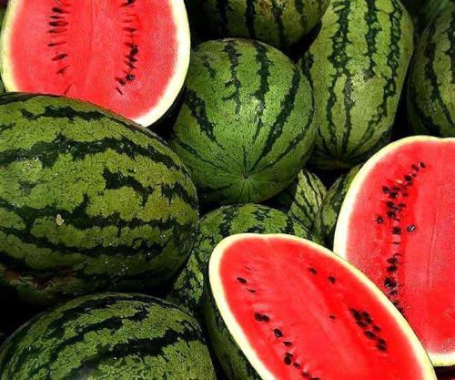 Hermiston Offers The Best Watermelon Festival In Oregon