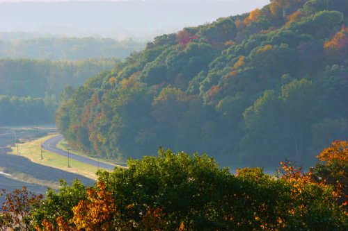 Forests | Only In Kansas