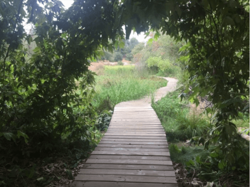 6 Of The Best Hiking Trails In Fallbrook, Southern California