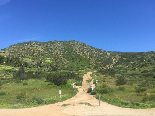 6 Of The Best Hiking Trails In Fallbrook, Southern California