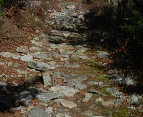 The Seneca Creek Trail In West Virginia: A Beautiful Waterfall Hike