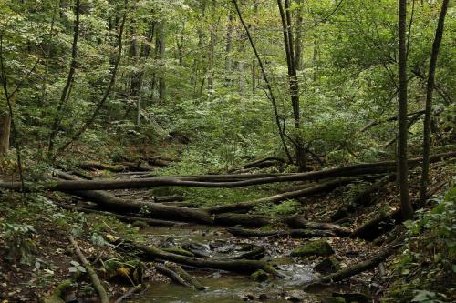 Stephens Falls, Wisconsin Is In Governor Dodge State Park