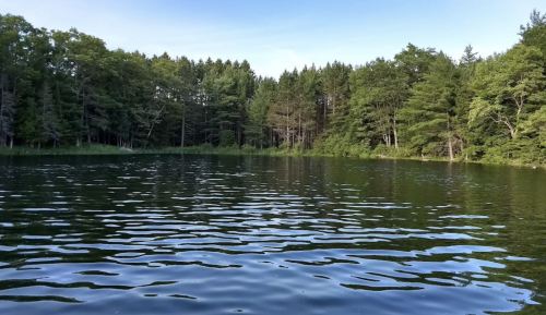 Clearest Lakes In Wisconsin: Black Oak Lake