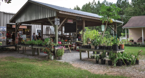 Fun Things To Do In Elberta, Alabama