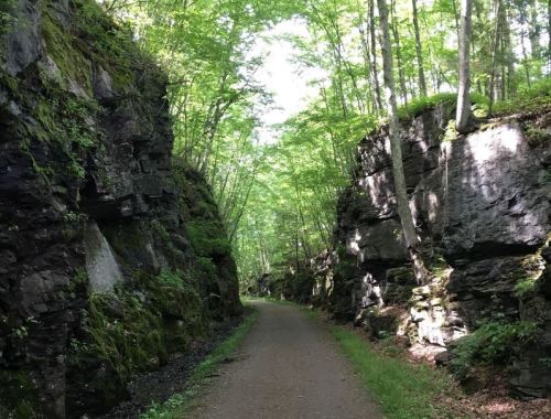 Hop River State Park Trail Is One Of The Best Hikes In Connecticut