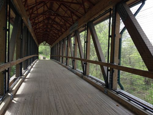 Hop River State Park Trail Is One Of The Best Hikes In Connecticut