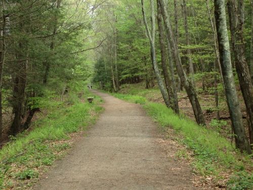Hop River State Park Trail Is One Of The Best Hikes In Connecticut