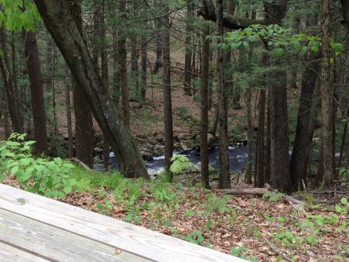 Hop River State Park Trail Is One Of The Best Hikes In Connecticut