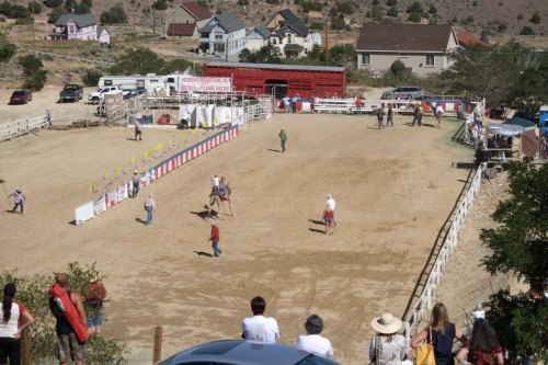 Annual Camel And Ostrich Races In Virginia City: Best In Nevada