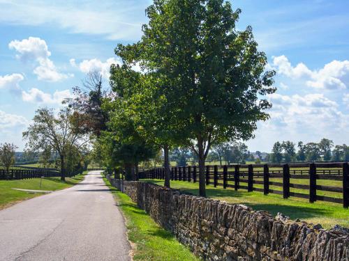 The Kentucky Backroads Are Perfect For A Summer Drive