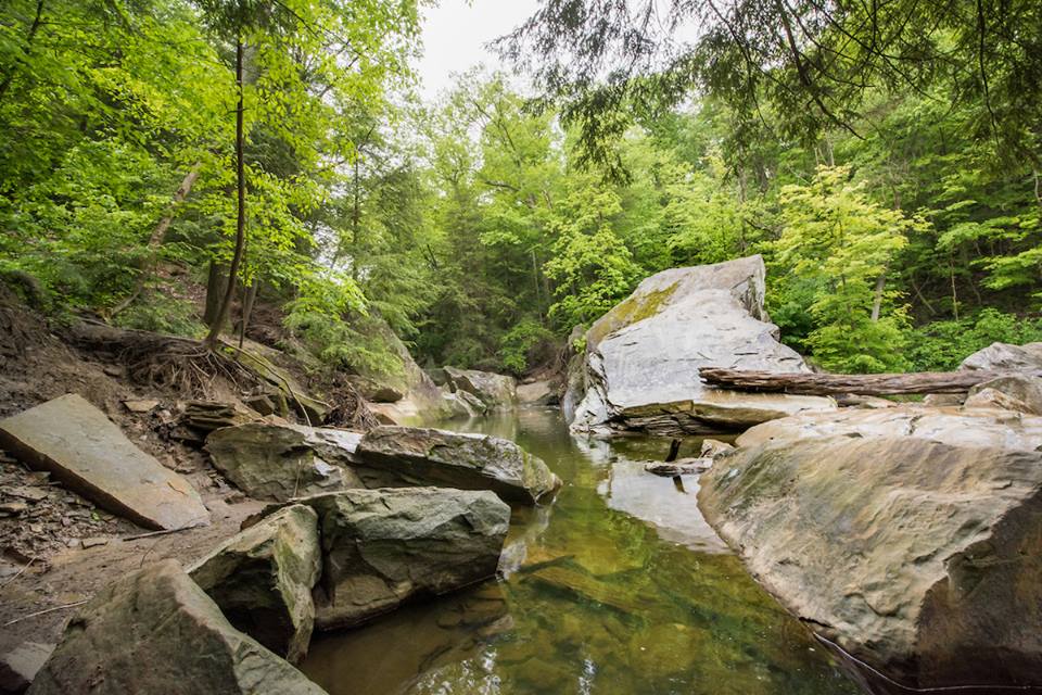 10 Best Hikes In Cleveland For Your Summer Bucket List