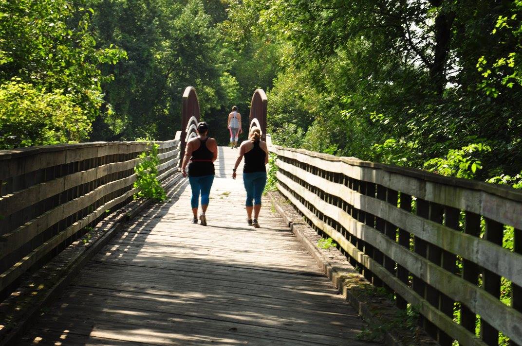 One Of The Best Hikes In Iowa Is This Unique Rail Trail