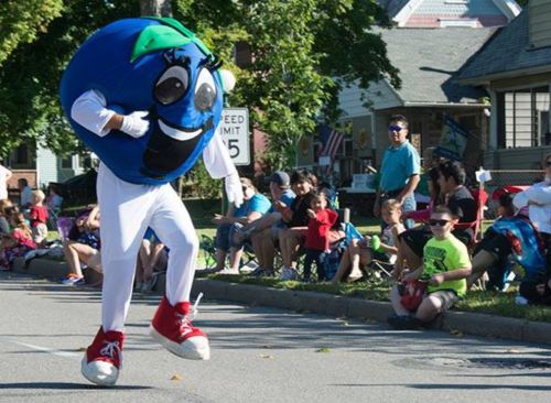 Marshall County Blueberry Festival 2024: A Fun Event In Indiana