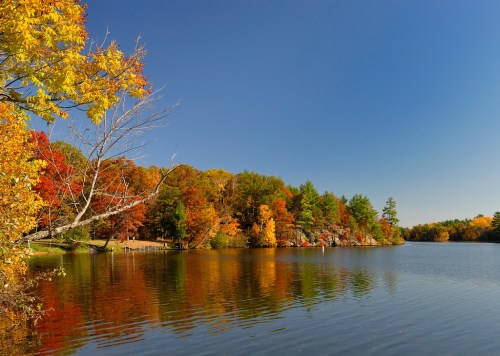 Top 10 Scenic Fall Foliage Drives in Wisconsin
