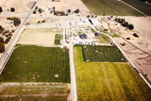 Hawes Farms Is One Of The Best Corn Mazes In Northern California
