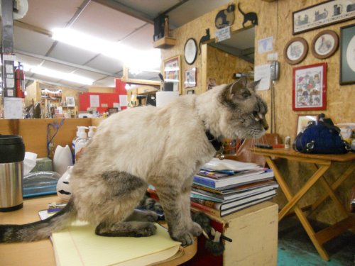 Old Book Barn Is One Of The Best Bookstores In Illinois